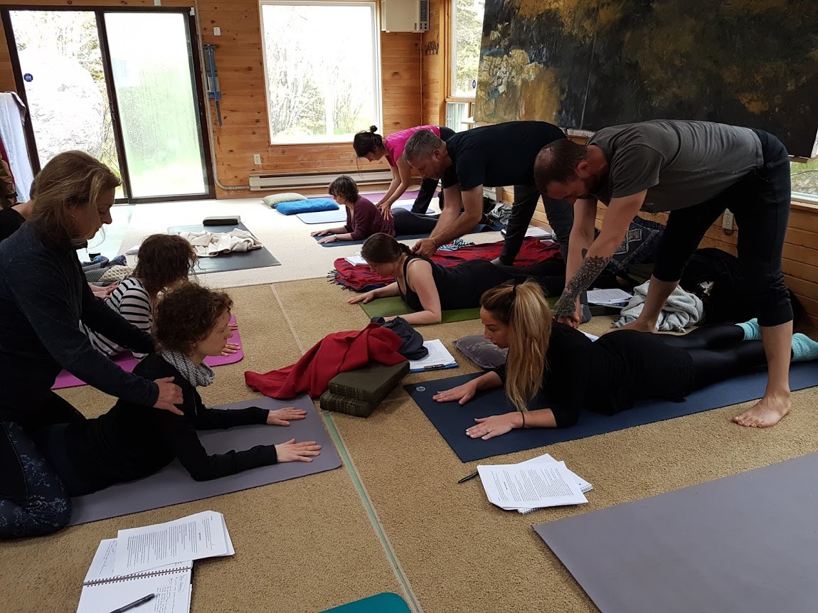 Somatic Assist and Release Yoga Teacher Training - The Lotus Centre